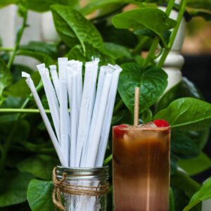 AGAVE FIBER STRAWS - 500ct Individually Wrapped Biodegradable 8.2" Straws by Ecoware. Plant Based, Eco-friendly, 100% Recyclable, Alternative to Paper & Plastic Straws