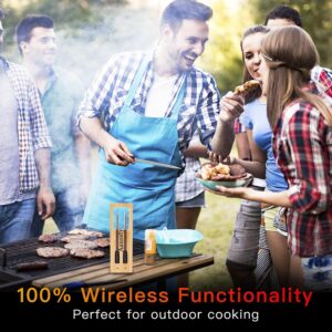 Smart Wireless Meat Thermometer Digital Bluetooth Food Meat Probe for Cooking Assisted Oven, Grill, Kitchen, BBQ, Smoker, Rotisserie (2 Probes)