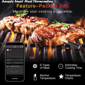 Smart Wireless Meat Thermometer Digital Bluetooth Food Meat Probe for Cooking Assisted Oven, Grill, Kitchen, BBQ, Smoker, Rotisserie (2 Probes)