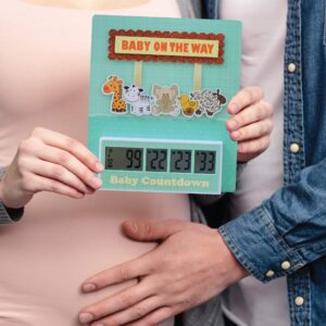 Retirement, Wedding or Baby Countdown Clock | up to 999 Day Countdown Timer