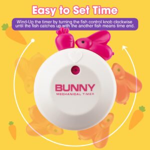 60-Minute Visual Timer, Classroom Timer, Countdown Timer for Kids and Adults, Kitchen Timer, Time Management Tools