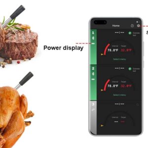 350ft Meat Thermometer Wireless | Smart Digital Bluetooth Food Thermometer for Cooking and Grilling, BBQ, Stove Top, Rotisserie(2 Probes)