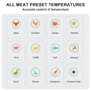 YONZHENG Bluetooth Wireless Meat Thermometer, 200ft Range Wireless Food Thermometer with App Meat Thermometer for Grilling Rotisserie Oven