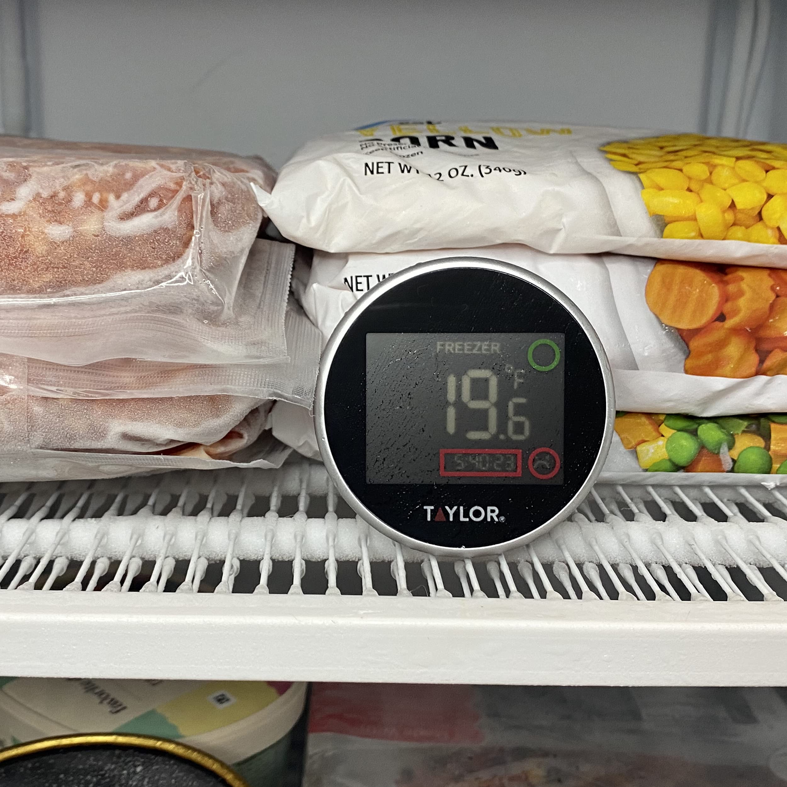 Taylor Digital Kitchen Refrigerator/Freezer Kitchen Thermometer with Time Monitor