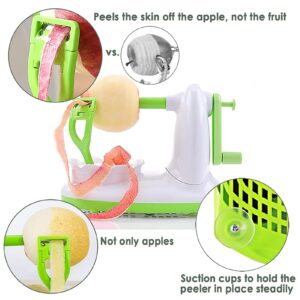 Apple Peeler, Pear Peeler with 8 Wedges Apple Slicer and Corer, Stainless Steel Blades Apple Cutter