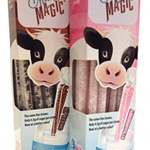 Strawberry & Chocolate Magic Milk Fun Straws 24 Each (2pk)