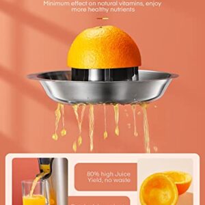 FOHERE Citrus Juicer Electric Orange Juicer with Humanized Handle and Two Size Cones for Grapefruits, Orange and Lemon, Powerful 160W Silent Motor Stainless Steel BPA-Free, Silver