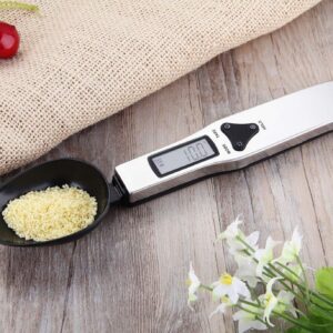 JOYIT Digital Spoon Scale 500g/0.1g - Stainless Steel Food Measuring Scale, Small Baking Scale with LCD Display