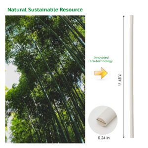 Biodegradable Bamboo Fiber Straws | 200 PCS 7.8'' Compostable Eco-Friendly Drinking Straws Disposable | Durable for Hot & Cold Drinks