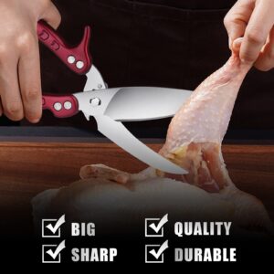 DRAGON RIOT Heavy Duty Poultry Shears - A Must Have Kitchen Shears for Chicken and Meat Cutting - Dishwasher Safe and Stainless Food Kitchen Scissors for Thanksgiving(Burgundy)