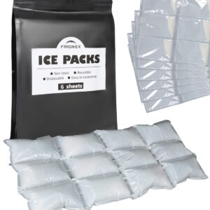 Friomex Dry Ice Packs - Ideal for Shipping Perishables and Drinks | Styrofoam Cooler Compatible | Includes Dry Ice Pellets | Keep Items Safe During Shipping | Hielo Seco