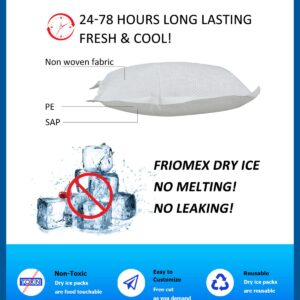 Friomex Dry Ice Packs - Ideal for Shipping Perishables and Drinks | Styrofoam Cooler Compatible | Includes Dry Ice Pellets | Keep Items Safe During Shipping | Hielo Seco