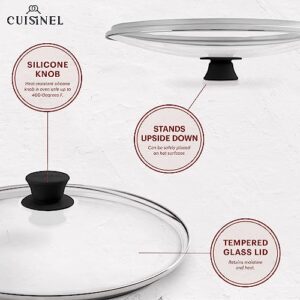 Cuisinel Cast Iron Skillet with Lid - 12"-Inch Frying Pan + Glass Cover + Silicone Handle Holder - Pre-Seasoned Oven Safe Cookware - Indoor/Outdoor Use - Grill, BBQ, Fire, Stovetop, Induction