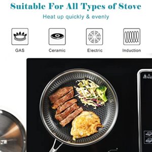 Stainless Steel Frying Pan with Lid - 5 Ply Steel Skillet,Professional Grade Pans For Cooking With Stay Cool Handle,9.5 Inch Honeycomb Nonstick Cooking Surface, Induction Stovetop Compatible