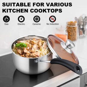 LIANYU 1QT Saucepan with Lid, 1 Quart Stainless Steel Saucepan, Small Pot Milk Soup Pan for Home Kitchen Restaurant, Long Heatproof Handle, Dishwasher Safe