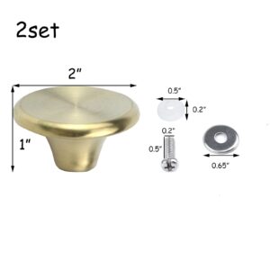 HEVSTIL 2 Set Gold Dutch Oven Knob Stainless Steel Replacement Knob Pot Lid Handle Compatible Stainless Steel Replacement handle for Enameled Cast-Iron Dutch Oven