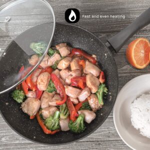 House of Living Art Wok Pan with Lid, 11 Inch Nonstick Aluminum, Dishwasher Safe