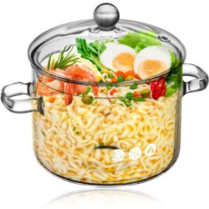 eringogo glass cooking pot with lid, 1900ml/ 64 oz glass saucepan heat resistant borosilicate stovetop pot simmer stockpot with cover for soup, milk, baby food