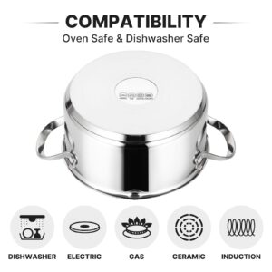 QStar 5 qt Stainless Steel Nontoxic Easy Cooking Stock Pot with Handle and Glass Lid