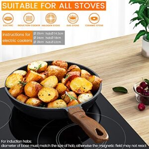 ferlord Nonstick Frying Pan Skillet, 9.5" Non Stick Omelette Pan Egg Pan, Heating Quickly and Evenly Fewer Oil Fumes, Heat-Resistant Soft Bakelite Handle Chef's Pan for All Stove, 100% PFOA &BPA free