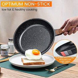 ferlord Nonstick Frying Pan Skillet, 9.5" Non Stick Omelette Pan Egg Pan, Heating Quickly and Evenly Fewer Oil Fumes, Heat-Resistant Soft Bakelite Handle Chef's Pan for All Stove, 100% PFOA &BPA free