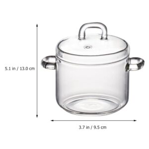 Hemoton Clear Glass Saucepan with Cover 350ML Glass Pot for Cooking Simmer Pot Heat-Resistant Borosilicate Glass Stovetop Pot Glass for Pasta Noodle, Soup, Milk,Tea