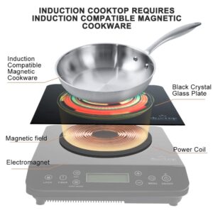 Duxtop Portable Induction Cooktop, Countertop Burner Induction Hot Plate & Professional Stainless Steel Cooking Pot, 5.7-Quart Stock Pot with Glass Lid, Impact-bonded Technology