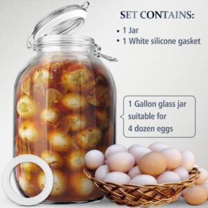 Folinstall 1 Gallon Glass Jar with Airtight Lid, Large Mason Jar for Pickled Eggs, Clear Glass Storage Jar for Kombucha, Limoncello, Sun tea (Extra 1 Gasket)