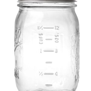 Ball Regular Mouth Pint 16-oz Mason Jars with Lid and Band (1-Pack)