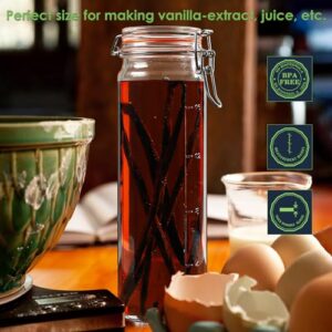 Huichuiero 20 oz Glass Jars with Airtight Lids for Vanilla Extract, 6 Pack Glass Juice Bottles with 2 Measurement Marks, Glass Food Storage Canister Set For Beans, Spice, Tea, Drink, Milk. 600ML