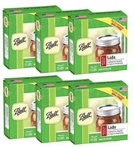 ball glass regular mouth jar lids (6 pack)