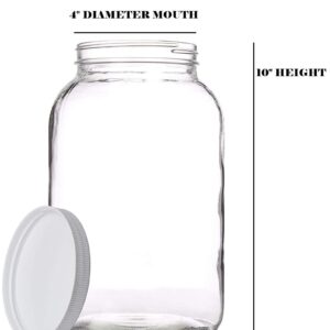 kitchentoolz 1 Gallon Extra Large Glass Mason Jar - Wide Mouth with Airtight Lid - Safe Container for Fermenting, Pickling, and Storing