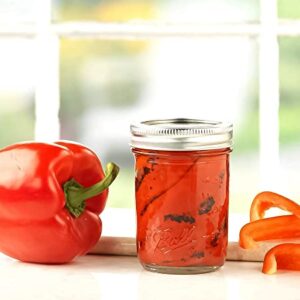 Regular Mouth Mason Jar 8 oz - (4 Pack) - Ball Regular Mouth Mason Jars With Airtight lids and Bands - For Canning, Fermenting, Pickling, Freezing - Glass jar, Microwave & Dishwasher Safe