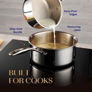 Legend 5 Ply 14 pc All Stainless Steel Heavy Pots & Pans Set | Professional Quality Cookware 5ply Clad Home Cooking & Commercial Kitchen Surface Induction Oven Safe | Non-Teflon PFOA, PTFE & PFOS Free