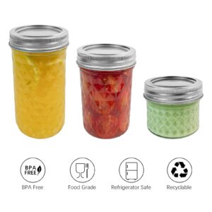 SRNRUS Small Mason Jars 4 oz with Lids and Bands, 12 Pack Regular Mouth Mason Jar Mini Glass Canning Jars for Jelly, Jam, Honey, Wedding Favors, Shower Favors and Home Decor (4 ounce)