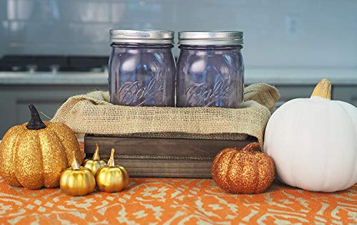 Ball Jar with Lid and Band - Pick Your Size and Color (Purple, Wide Mouth Quart - 32 oz.)