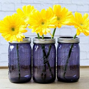 Ball Jar with Lid and Band - Pick Your Size and Color (Purple, Wide Mouth Quart - 32 oz.)