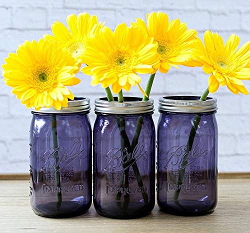 Ball Jar with Lid and Band - Pick Your Size and Color (Purple, Wide Mouth Quart - 32 oz.)