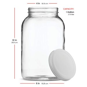 Paksh Novelty 1-Gallon Glass Jar Wide Mouth with Airtight Metal Lid - USDA Approved BPA-Free Dishwasher Safe Large Mason Jar for Fermenting, Kombucha, Kefir, Storing and Canning Uses, Clear (1 Jar)