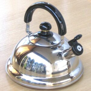 Quickone Takei Energy-Saving Fuefuki Whistle Kettle, 2.5 L, Silver