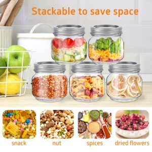 Aliggbent Mason Jars 8 oz, 30pcs Reusable Mason Jars with Regular Airtight Lids and Bands, Clear Small Mason Jars, 1/2 Pint Glass Canning Jars for Jelly, Overnight Oats, Jam, Fruit, Yogurt, Crafts