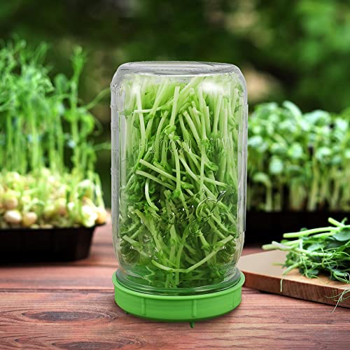 Amytalk 12 Pack Plastic Sprouting Lids for 86mm Wide Mouth Mason Jars, Sprouting Strainer Lid for Canning Jars, Suit for Grow Bean Sprouts, Alfalfa, Salad Sprouts etc