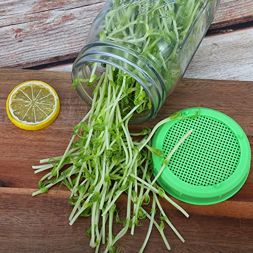 Amytalk 12 Pack Plastic Sprouting Lids for 86mm Wide Mouth Mason Jars, Sprouting Strainer Lid for Canning Jars, Suit for Grow Bean Sprouts, Alfalfa, Salad Sprouts etc