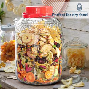 Daitouge Ulrta Large 4 Gallon(15200 ML) Glass Jar with Lid & Handle, Wide Mouth Canning Jars with Plastic Screw Lids, Glass Storage Jars BPA Free & Dishwasher Safe, 1 Pack