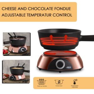 Artestia 2-QT Electric Fondue Pot for Chocolate Cheese, 1500W Oil Fondue Pot Set with Adjustable Temperature, 6 Fondue Forks, Black Ceramic Pot with Rose-Gold Base