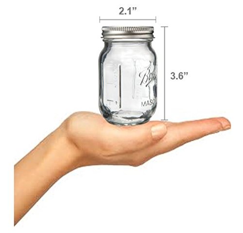 Ball Mini 4 Oz Miniature Storage, 24 Jars, Clear