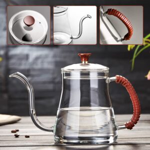 Unbreakable Gooseneck Kettle for Drip Coffee 20OZ Pour Over Coffee Kettle Tea Kettle for Stove Top,600ml/20oz Glass Coffee Kettle with Lid,Water Kettle Coffee Pot