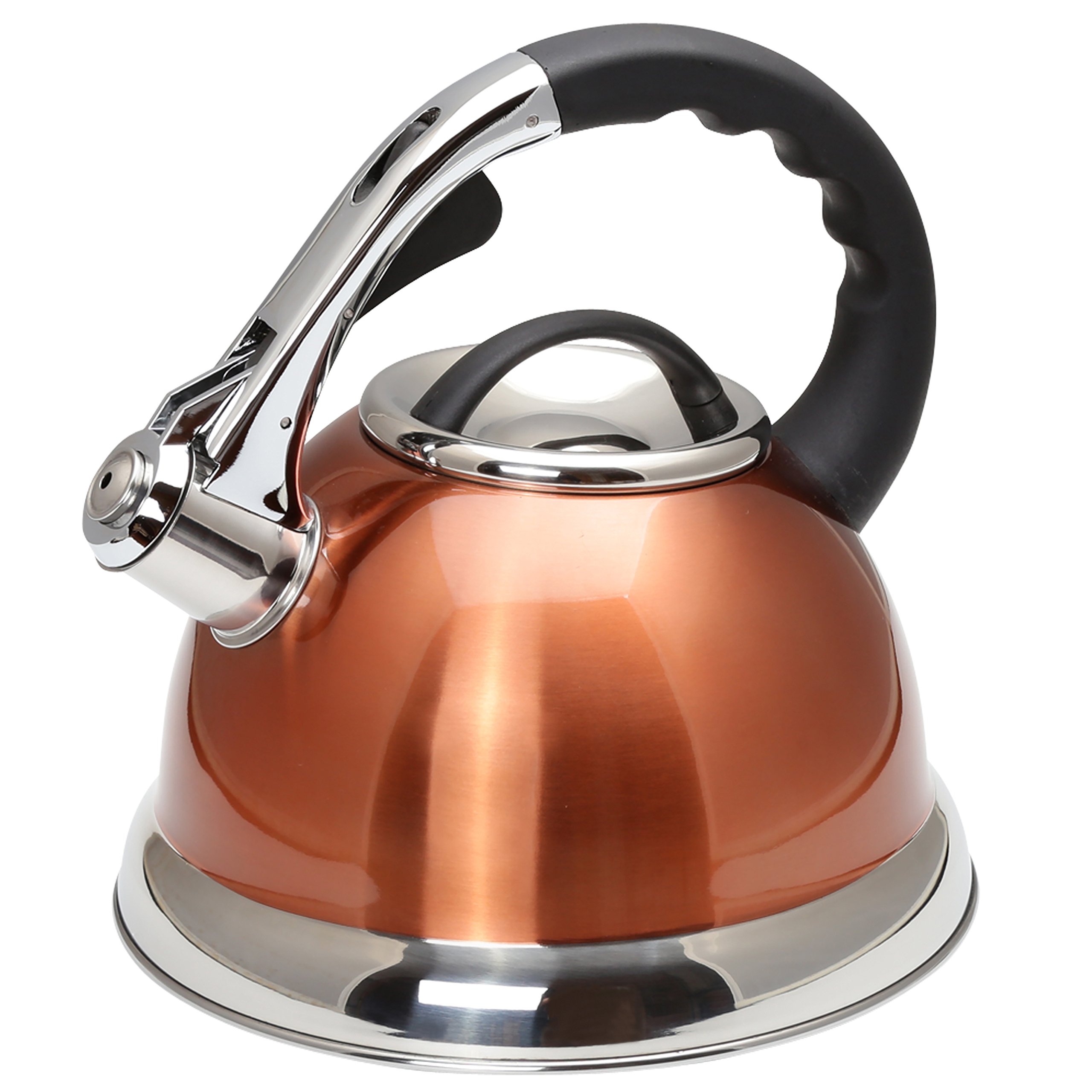 Camille 3.0 Quart Stainless Steel Whistling Tea Kettle