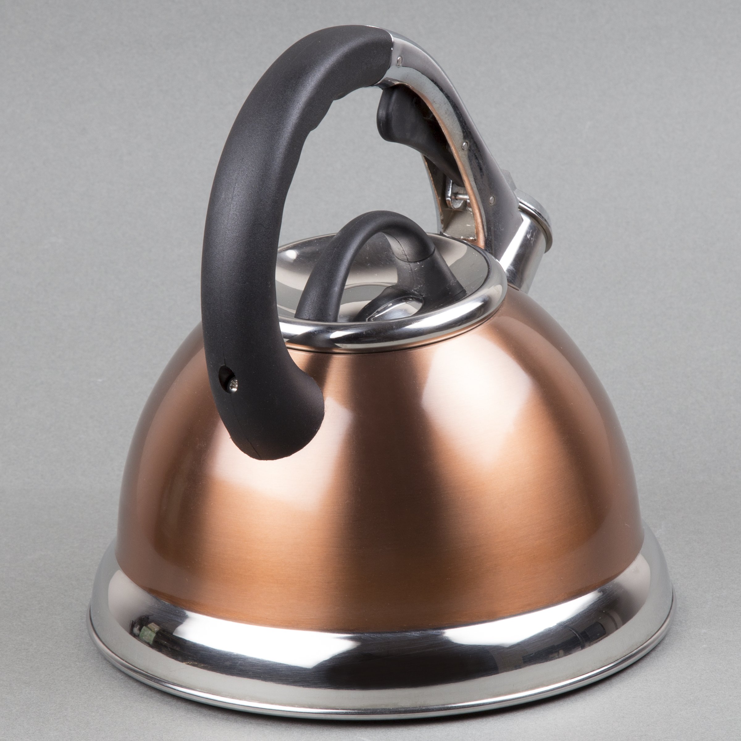 Camille 3.0 Quart Stainless Steel Whistling Tea Kettle