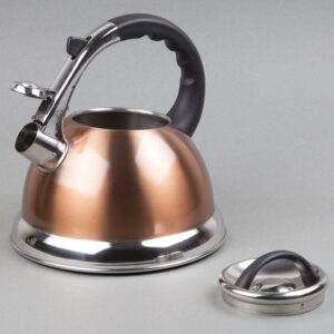 Camille 3.0 Quart Stainless Steel Whistling Tea Kettle